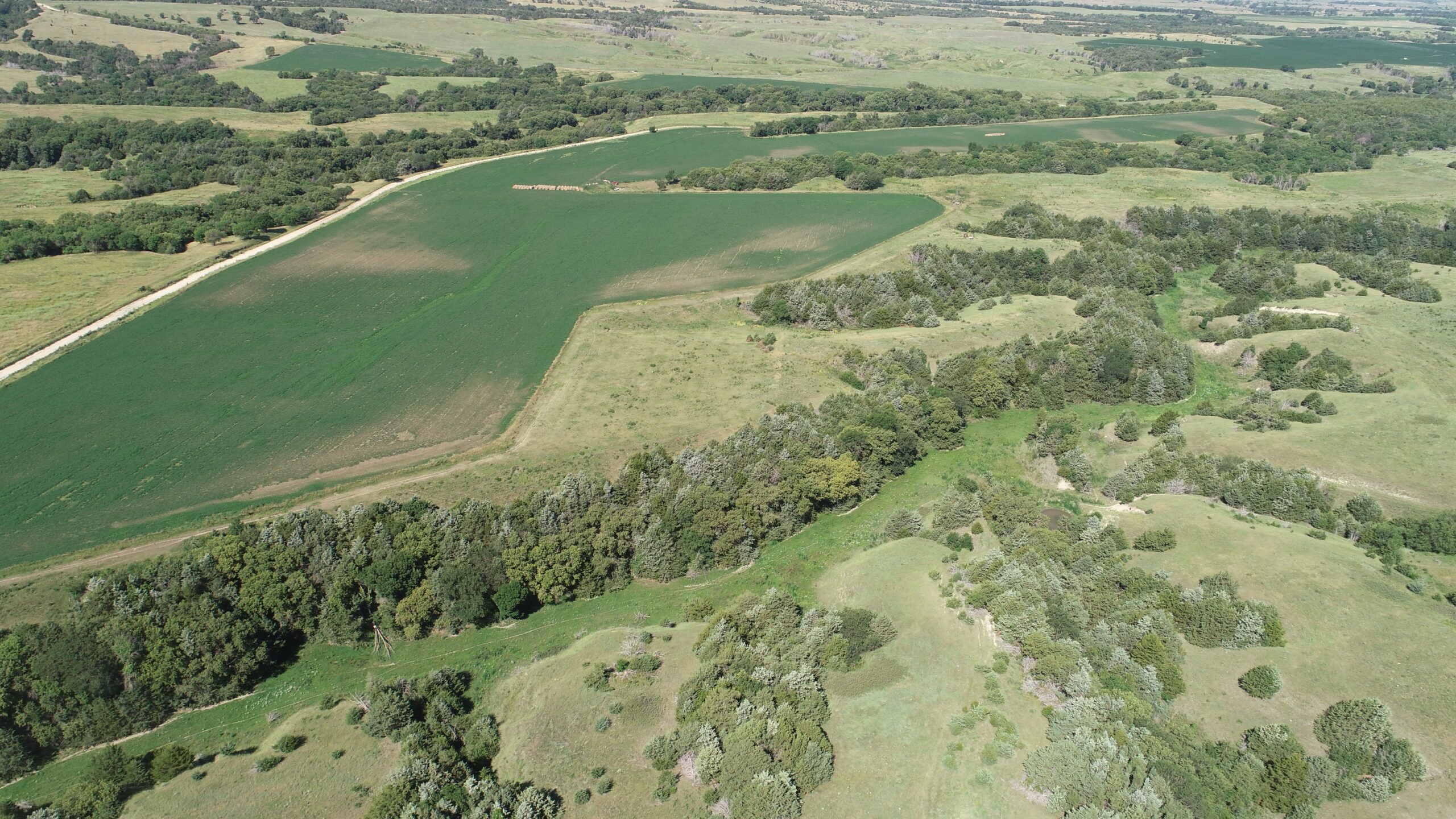 Sold - 413.92+/- Acres, native pasture, dryland with recreational bonus ...