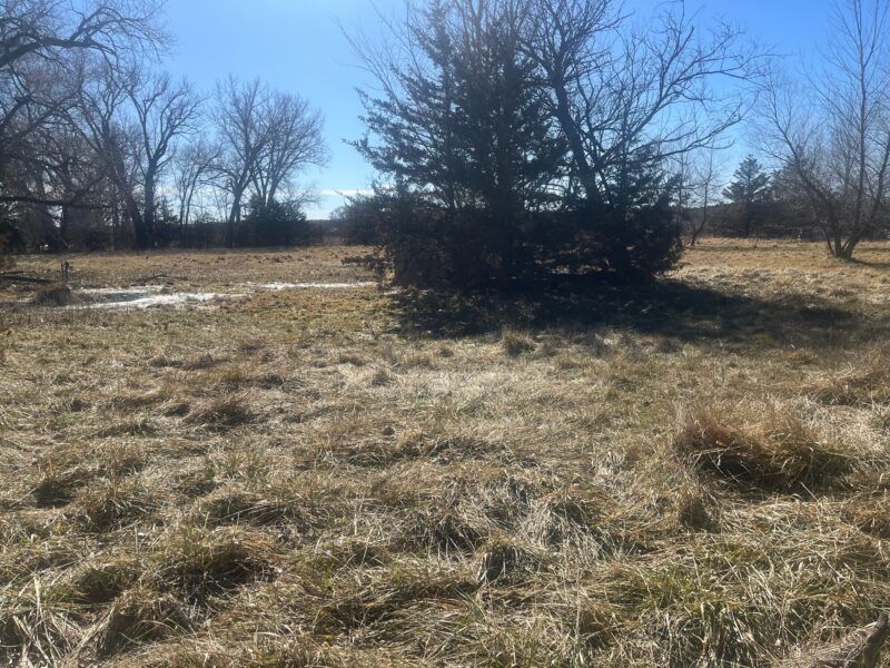 1.13+/- Acres, within the Village of Ericson, Wheeler County, NE ...